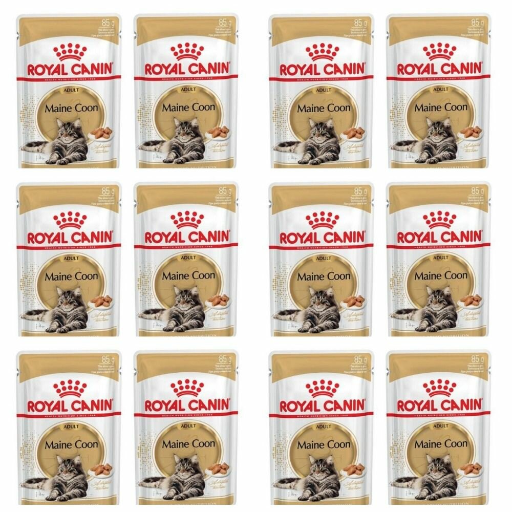 Royal Canin Корм влажный для кошек Maine Coon Adult породы Мейн-кун старше 15 месяцев, 85 г, 12 шт.