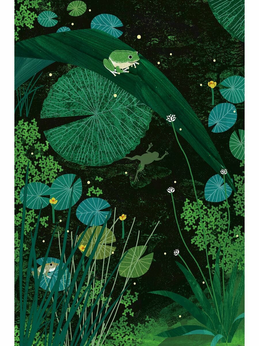 Постер "Пруд с лягушками"