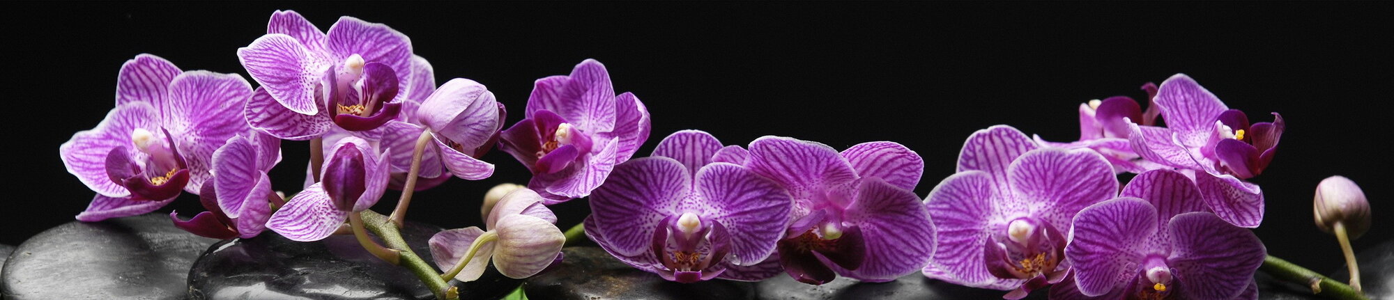 Кухонный фартук/стеновая панель МДФ для кухни 2800*600*6мм "VIP16"