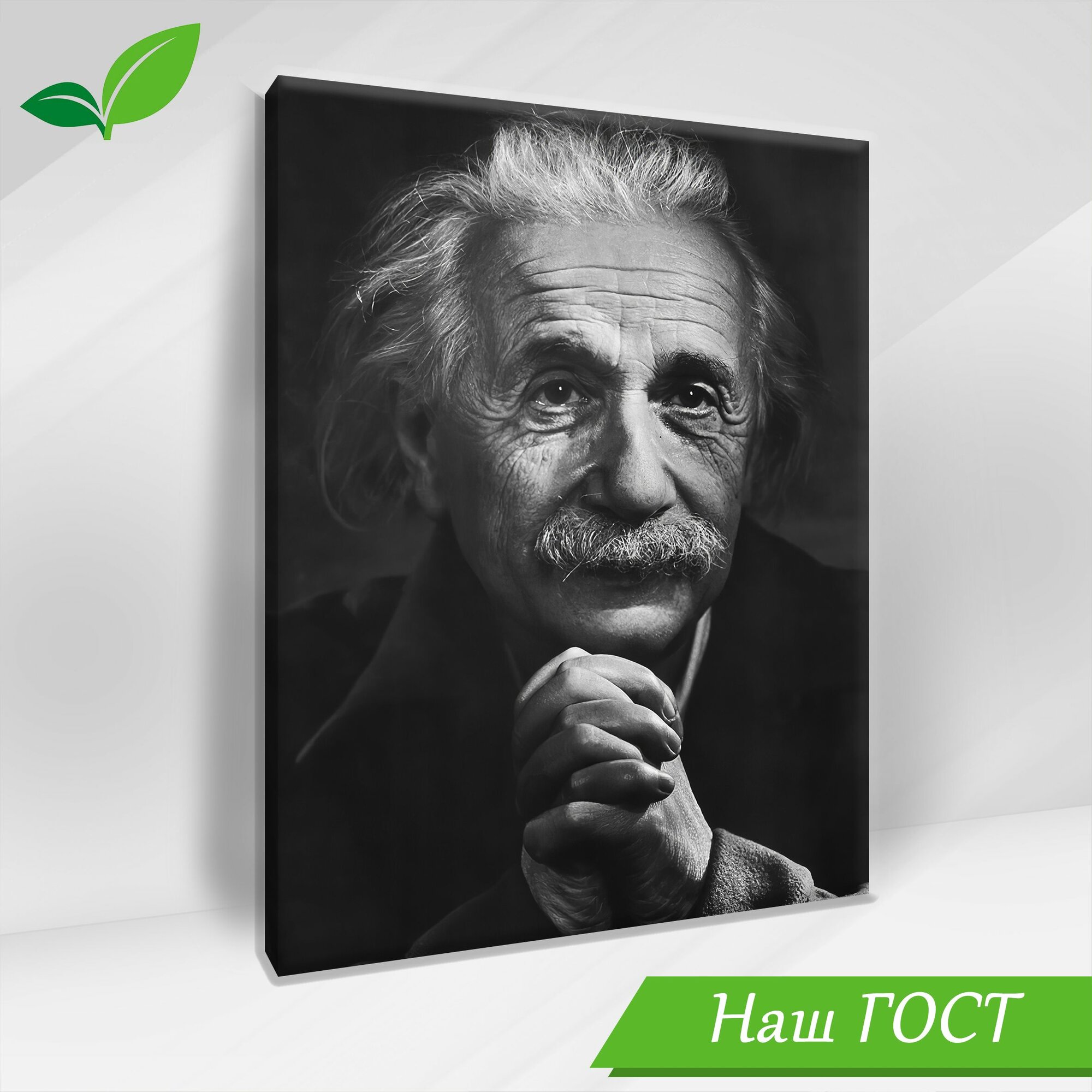 Интерьерная картина "Альберт Эйнштейн фотопортрет" 30*40 см