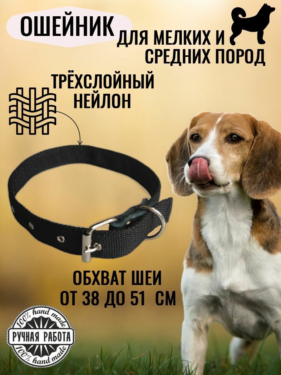 Ошейник из нейлона, капрона для средних пород собак/ Прочный, крепкий/ Обхват шеи от 38 до 51 см, длина 60 см.