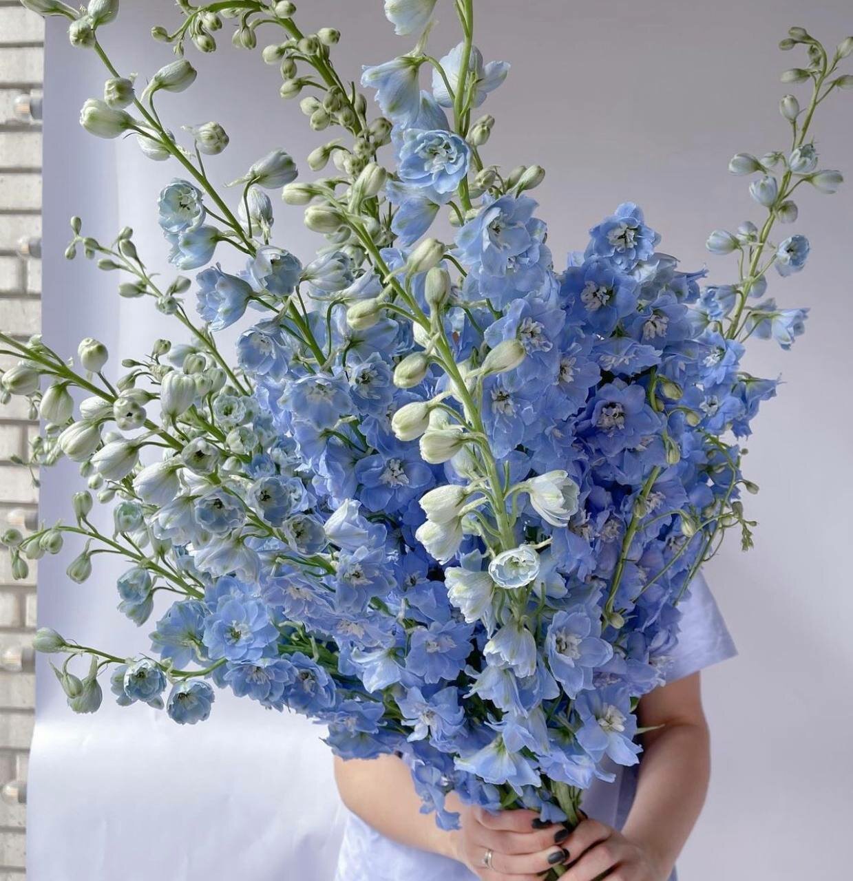 Премиум букет из голубого дельфиниума, премиум цветы, шикарный, красивый букет цветов, дельфиниум.