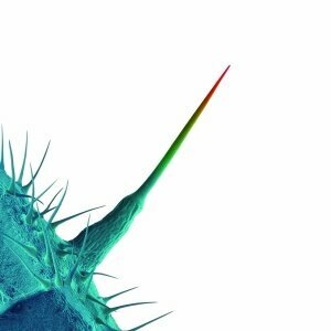 Компакт-Диски, Real World Records, PETER GABRIEL - And I’ll Scratch Yours (CD)