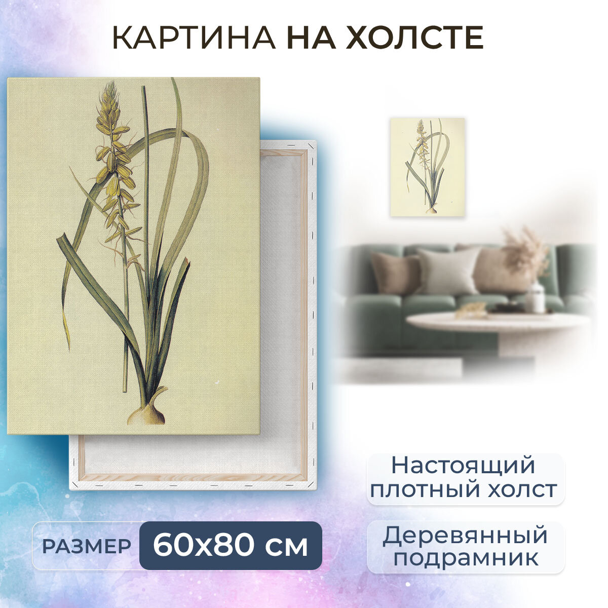 Картина на холсте с подрамником / Pierr - Joseph Redoute / Пьер-Жозеф Редуте
