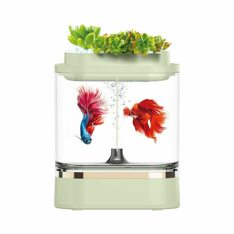 Мини-аквариум для рыбы