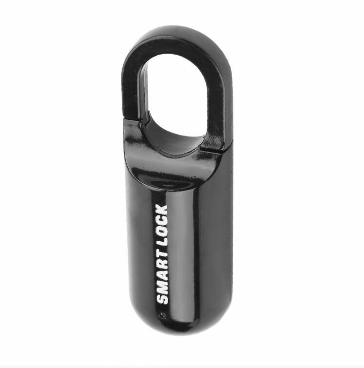 Smart замок GS 122 с отпечатком пальца (навесной)