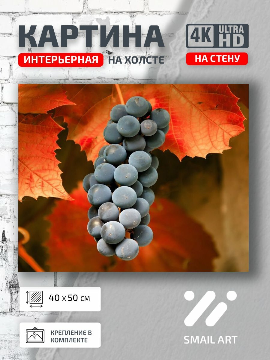 Картина на холсте интерьерная 40 на 50 на стену Винограда Landscape для спальни пейзаж