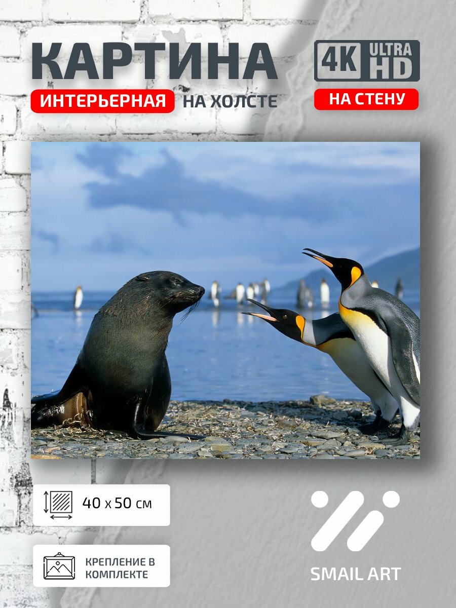 Картина на холсте интерьерная 40 на 50 на стену Тюленем Mood для кабинета атмосфера декор