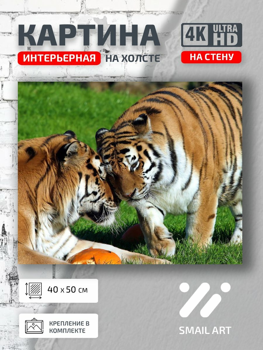 Картина на холсте интерьерная 40 на 50 на стену Тигры Animal для кафе animal style интерьер