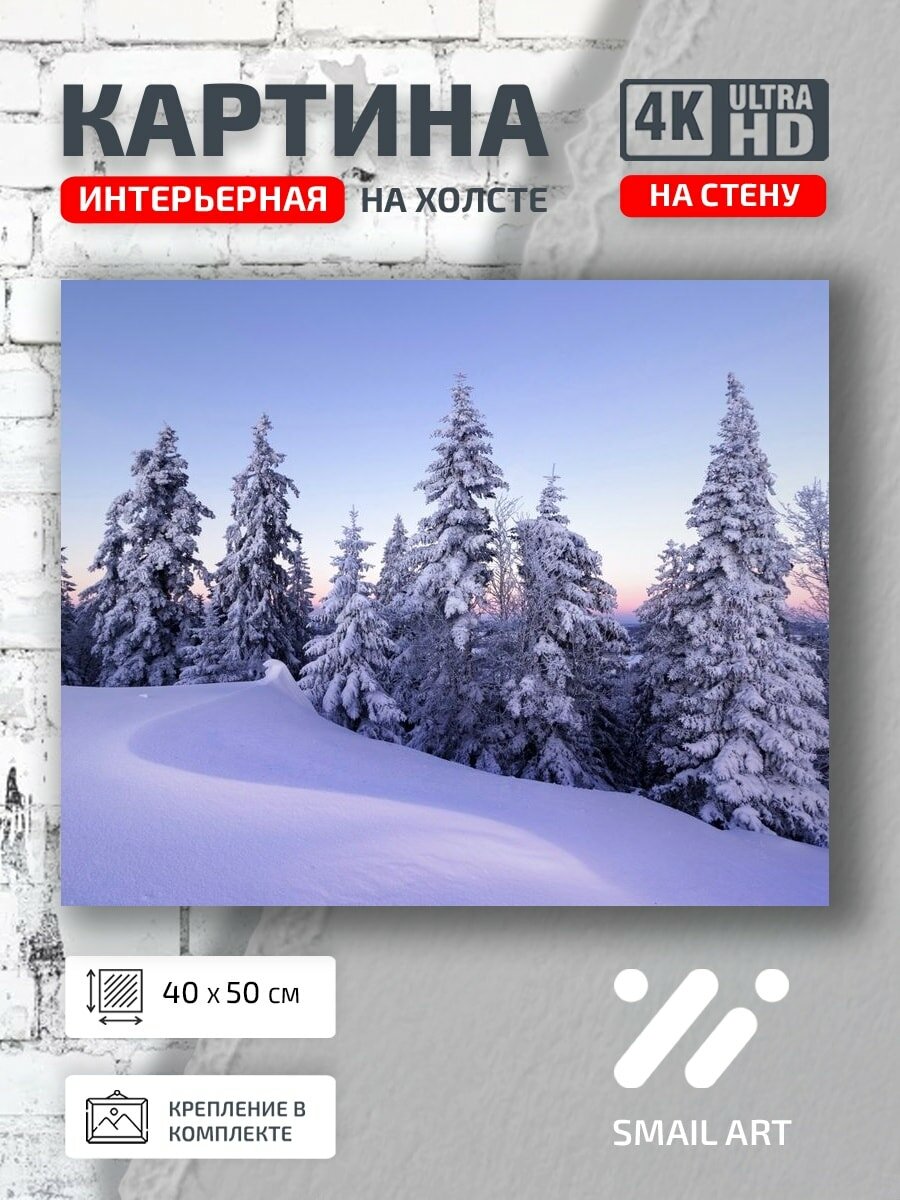 Картина на холсте интерьерная 40 на 50 на стену Зимний снег для кафе пейзаж
