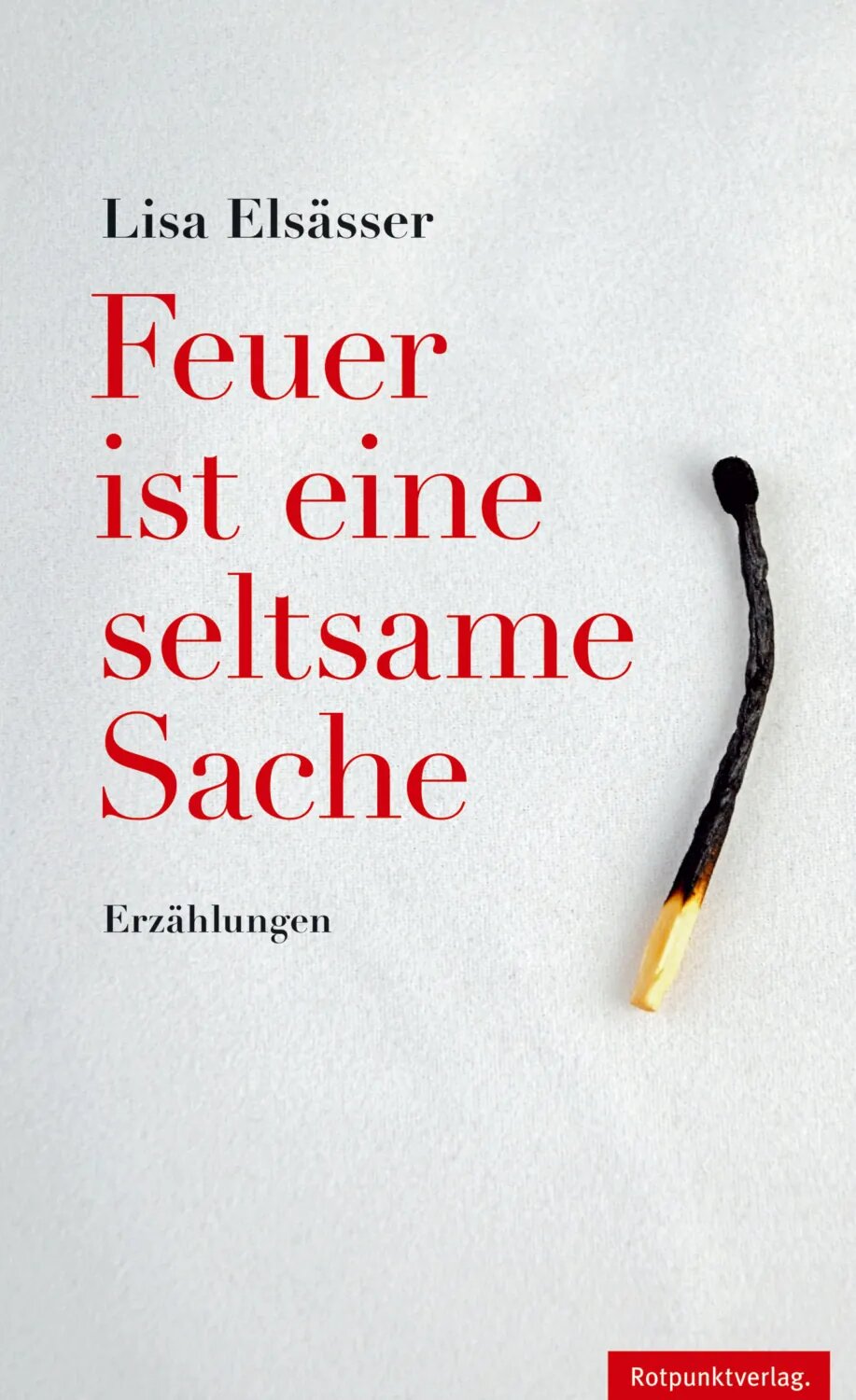 Feuer ist eine seltsame Sache [Цифровая книга]