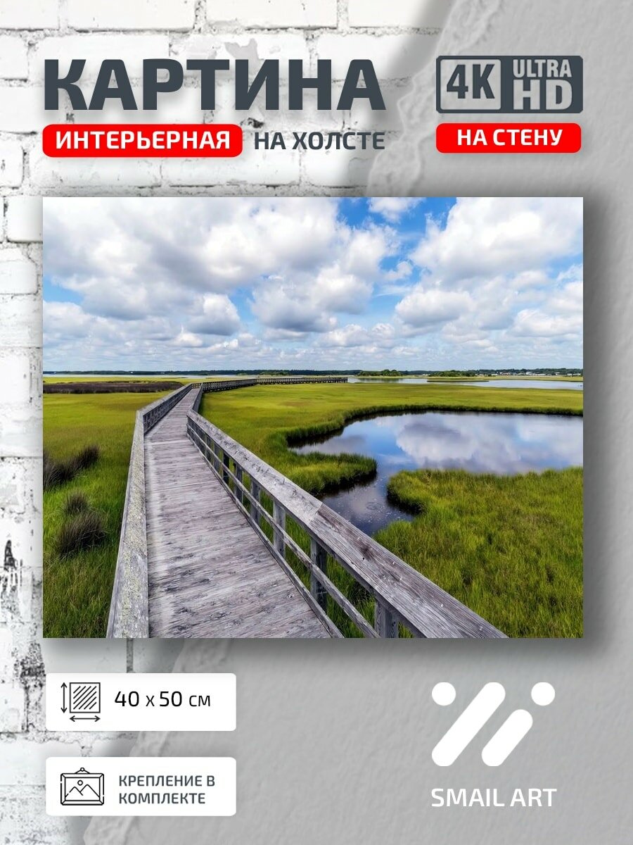 Картина на холсте интерьерная 40 на 50 на стену Мост болоте для студии атмосфера