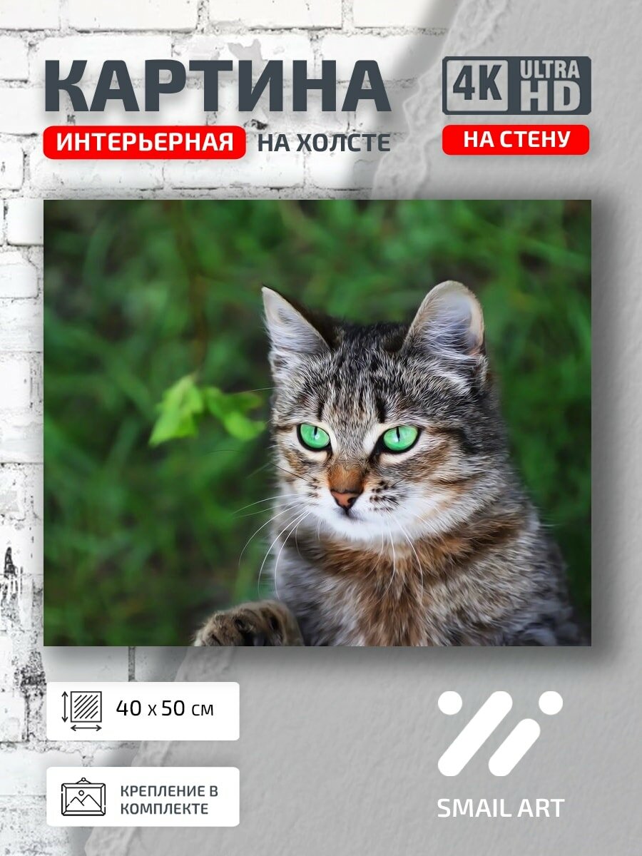 Картина на холсте интерьерная 40 на 50 на стену Животные Кот для кабинета атмосфера