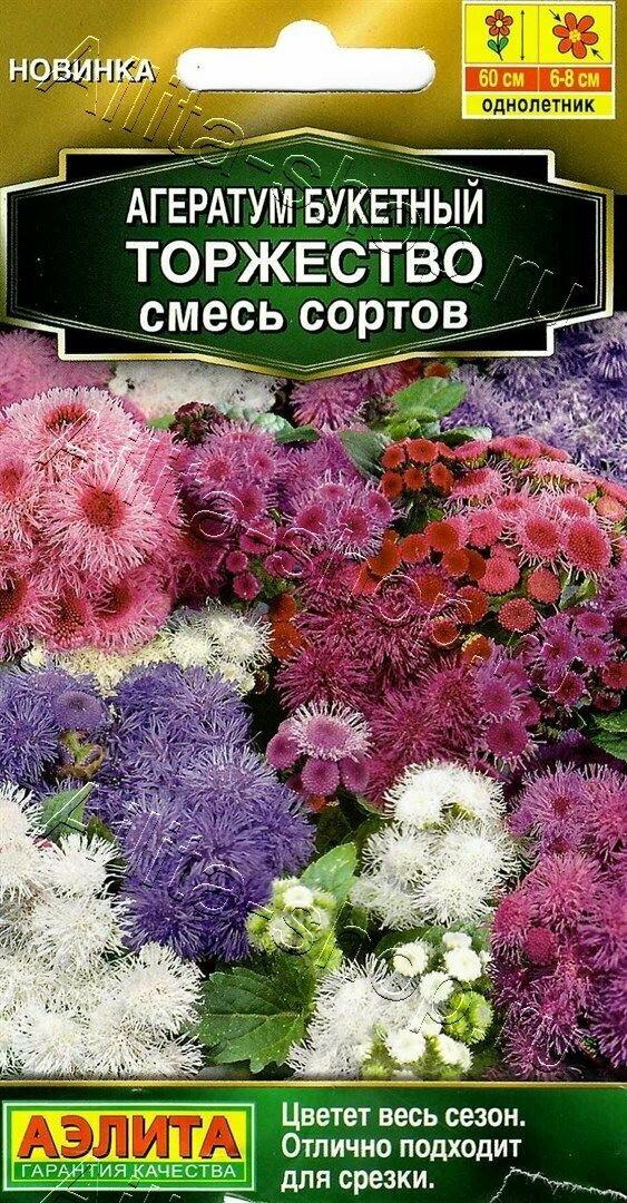 Семена агератума Аэлита "Торжество", однолетние, неприхотливые