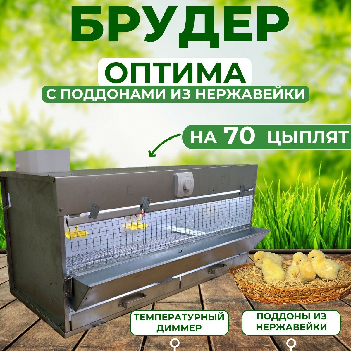 Брудер для 70 цыплят Оптима Престиж с поддоном из нержавейки