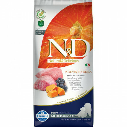 N&D dog ягненок с черникой и тыквой для щенков medium & maxi 12 кг