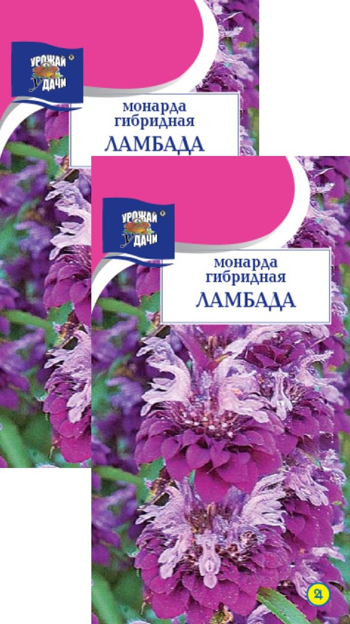 Семена монарды фото — купить по низкой цене на Яндекс Маркете
