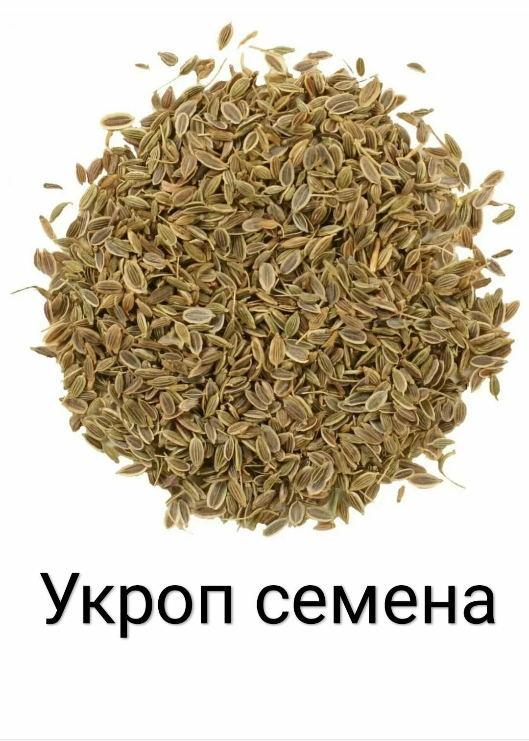 Укроп семена- 500гр — фото 1