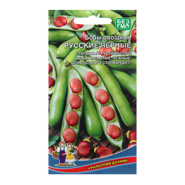 Семена Бобы «Русские черные», 6 шт, «Уральский дачник»