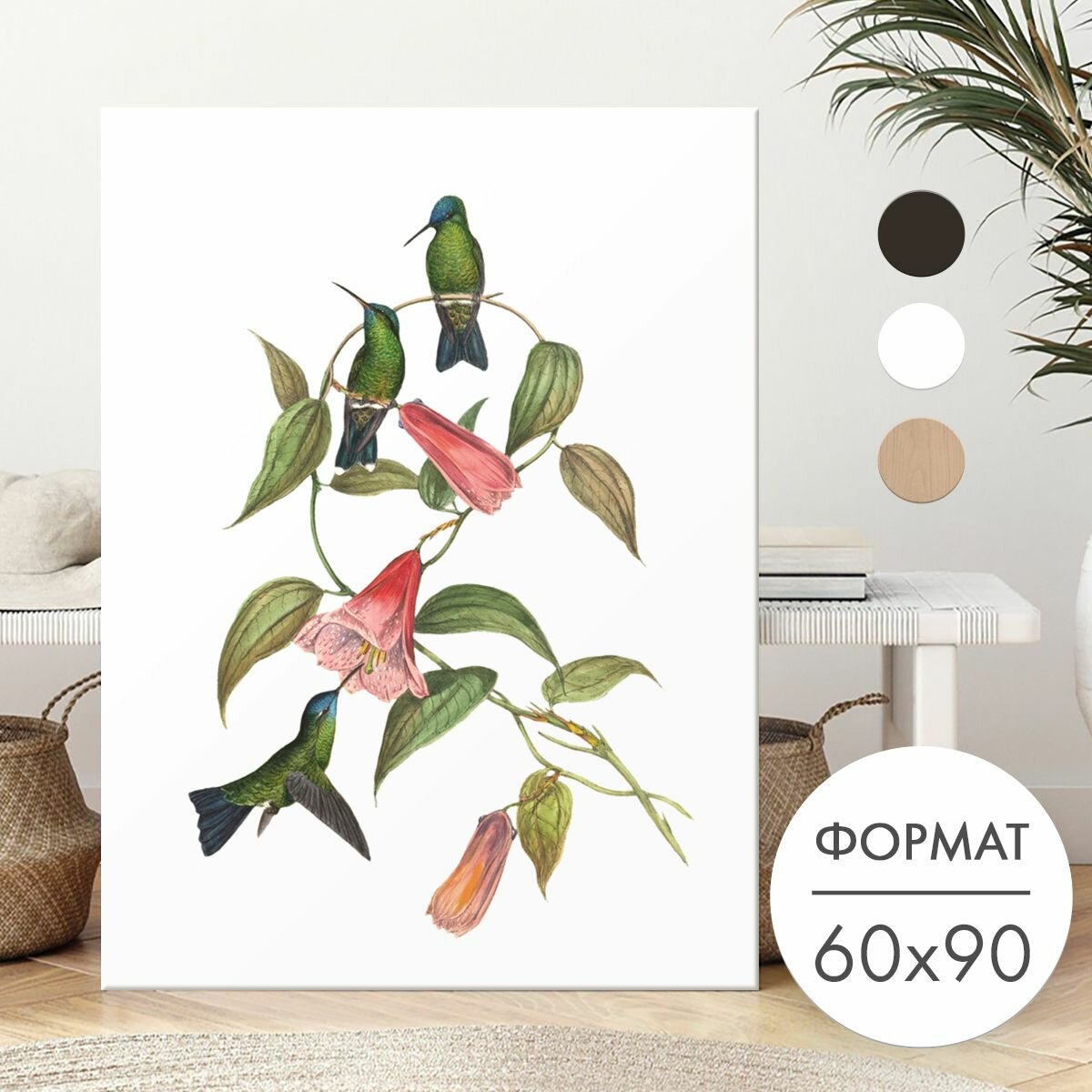 Постер 60х90 без рамки "Колибри" для интерьера