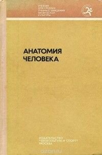 Анатомия человека