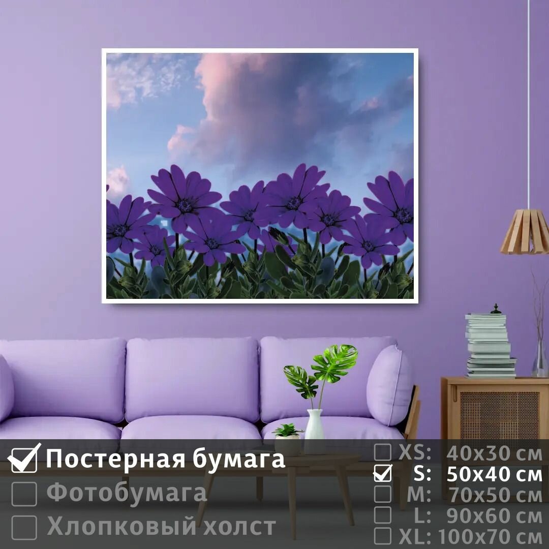 Постер на стену Фиолетовые Полевые Цветы 50х40 см ПолиЦентр