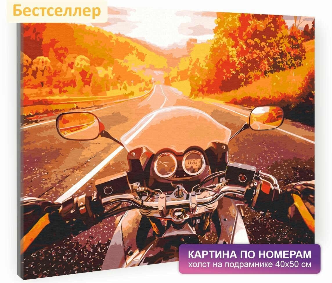 Картина по номерам на холсте с подрамником 40х50 см. Мотоцикл. Байк. "Байкер", арт. 1709/