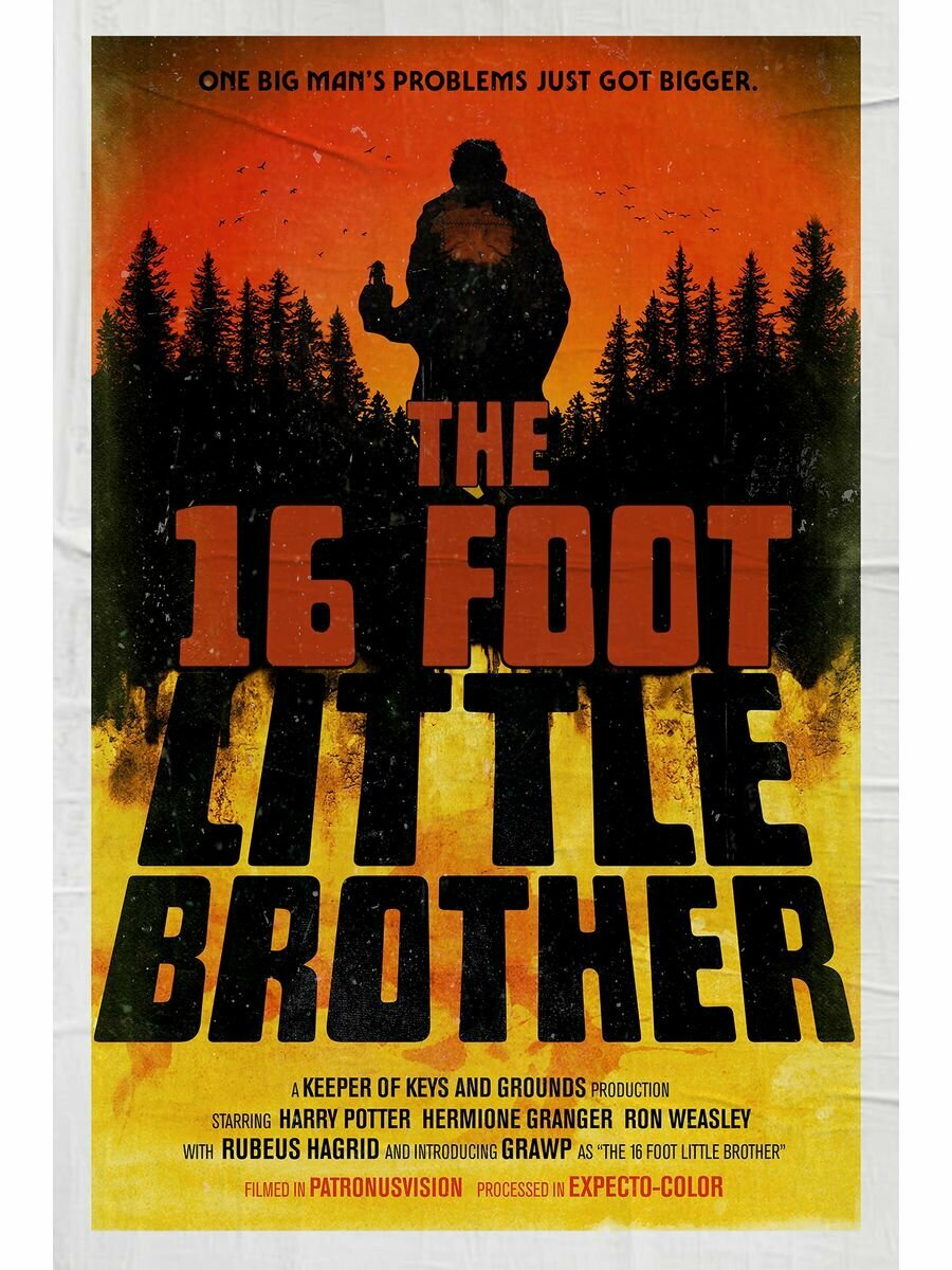 Постер "Гарри Поттер и Орден Феникса. Младший брат"