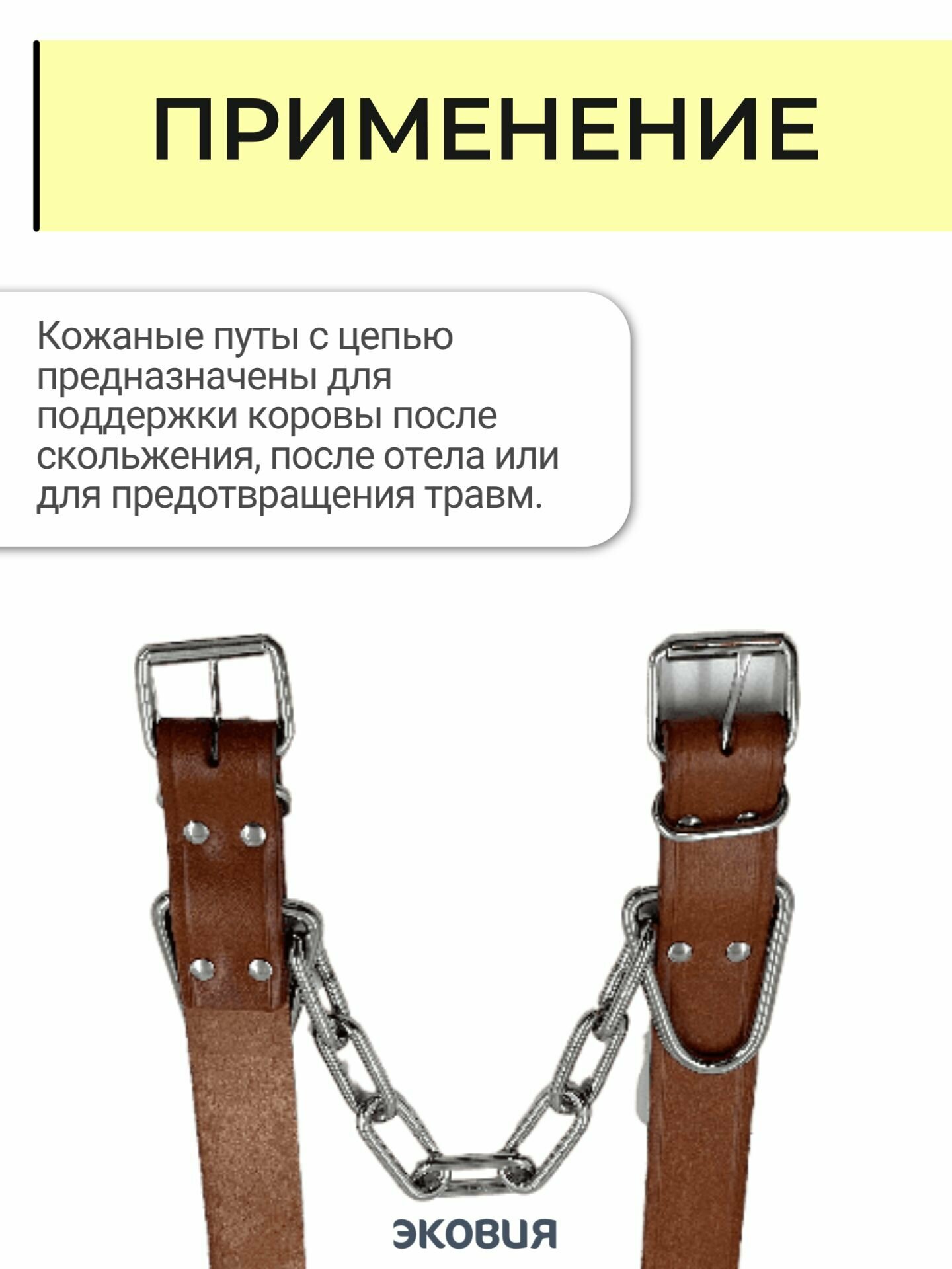 Путы для коров кожа — фото 1