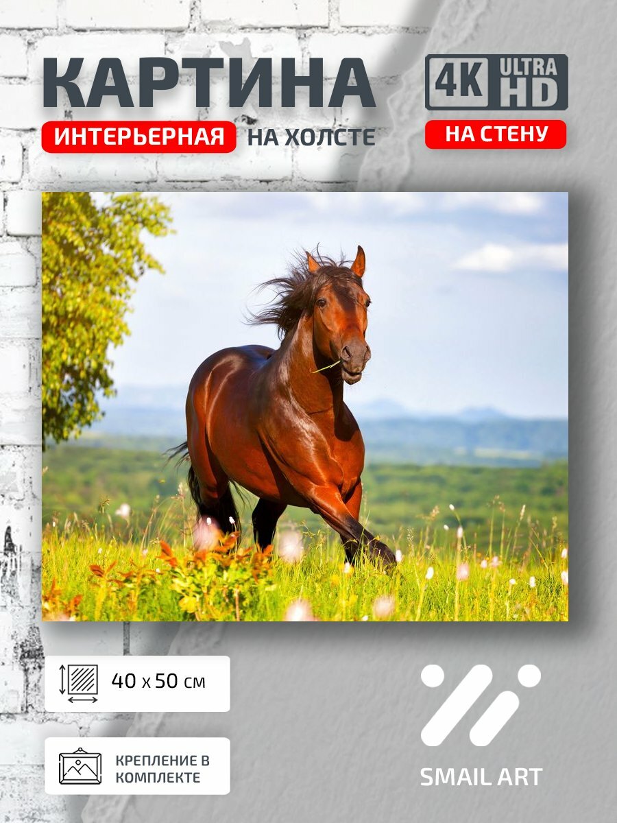 Картина на холсте интерьерная 40 на 50 на стену Конь Landscape для гостиной пейзаж интерьер