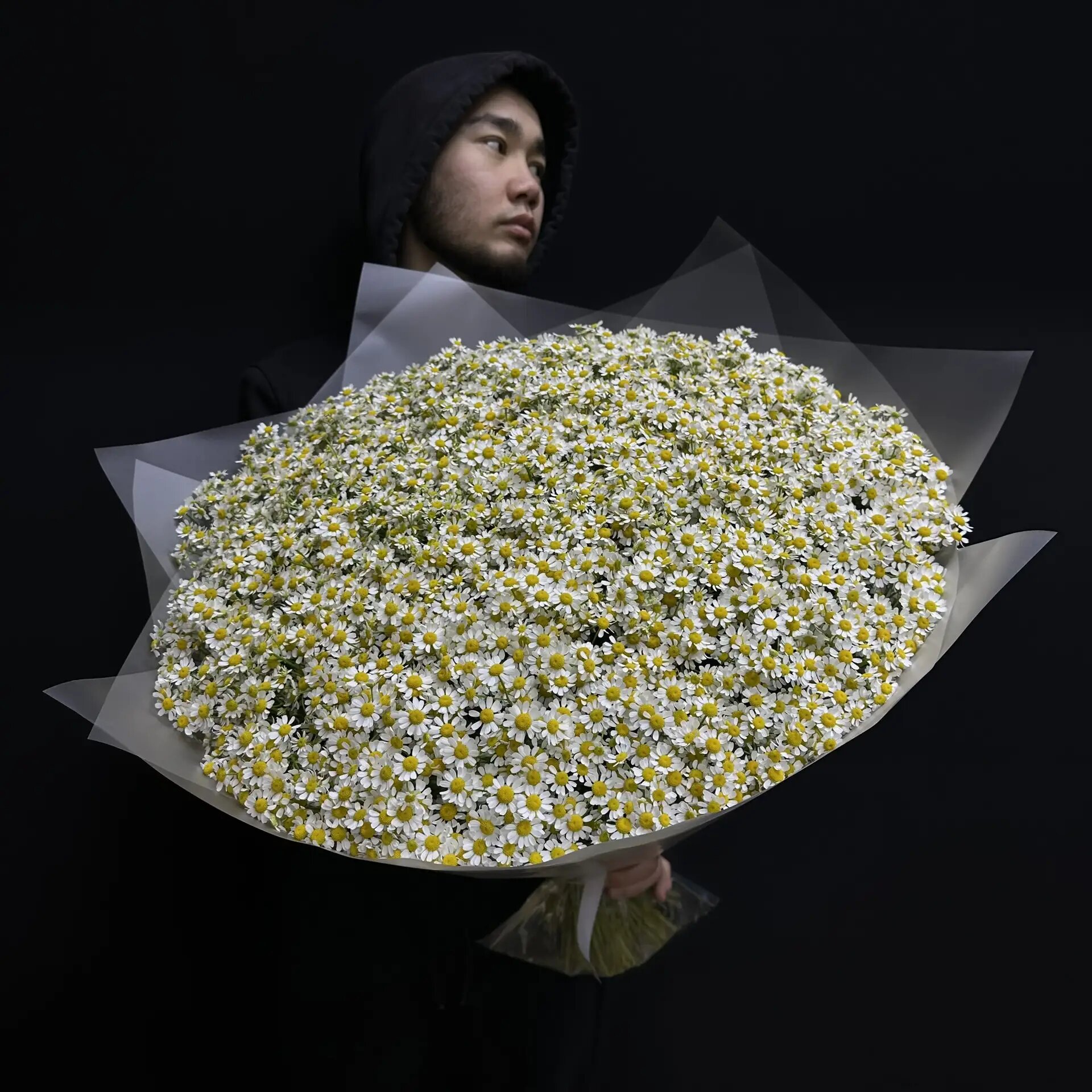 Букет "Облачко" из полевых ромашек, 151 цветок, доставка в день заказа