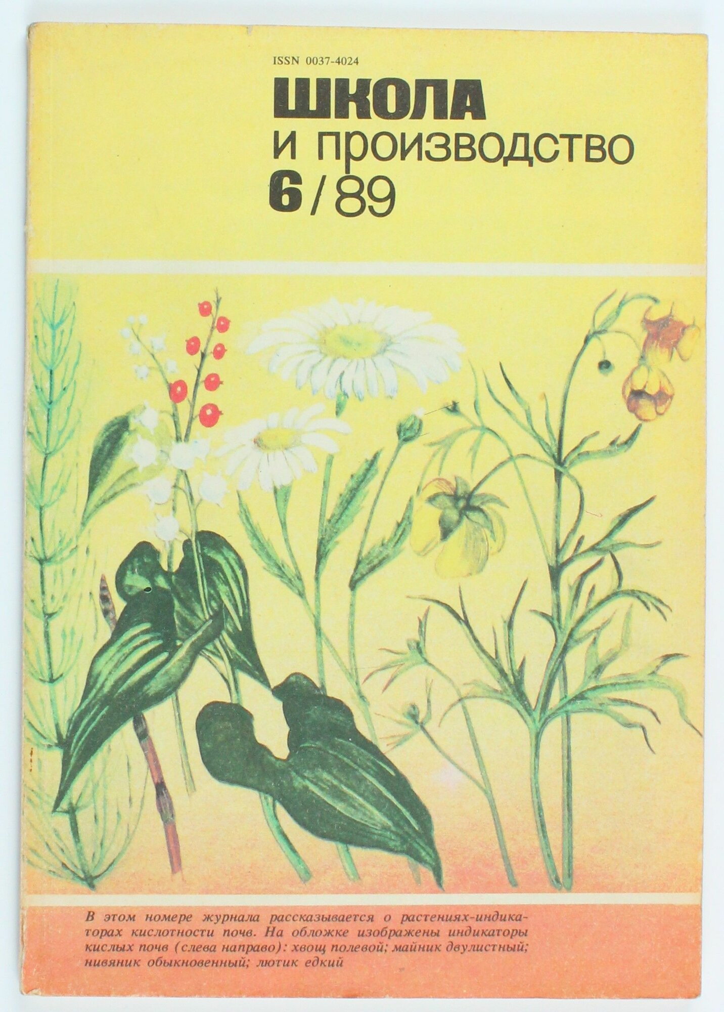 Букинистический журнал Школа и производство, выпуск 6/1989