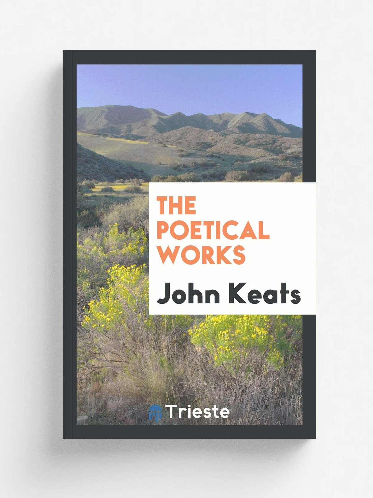 The poetical works of John Keats