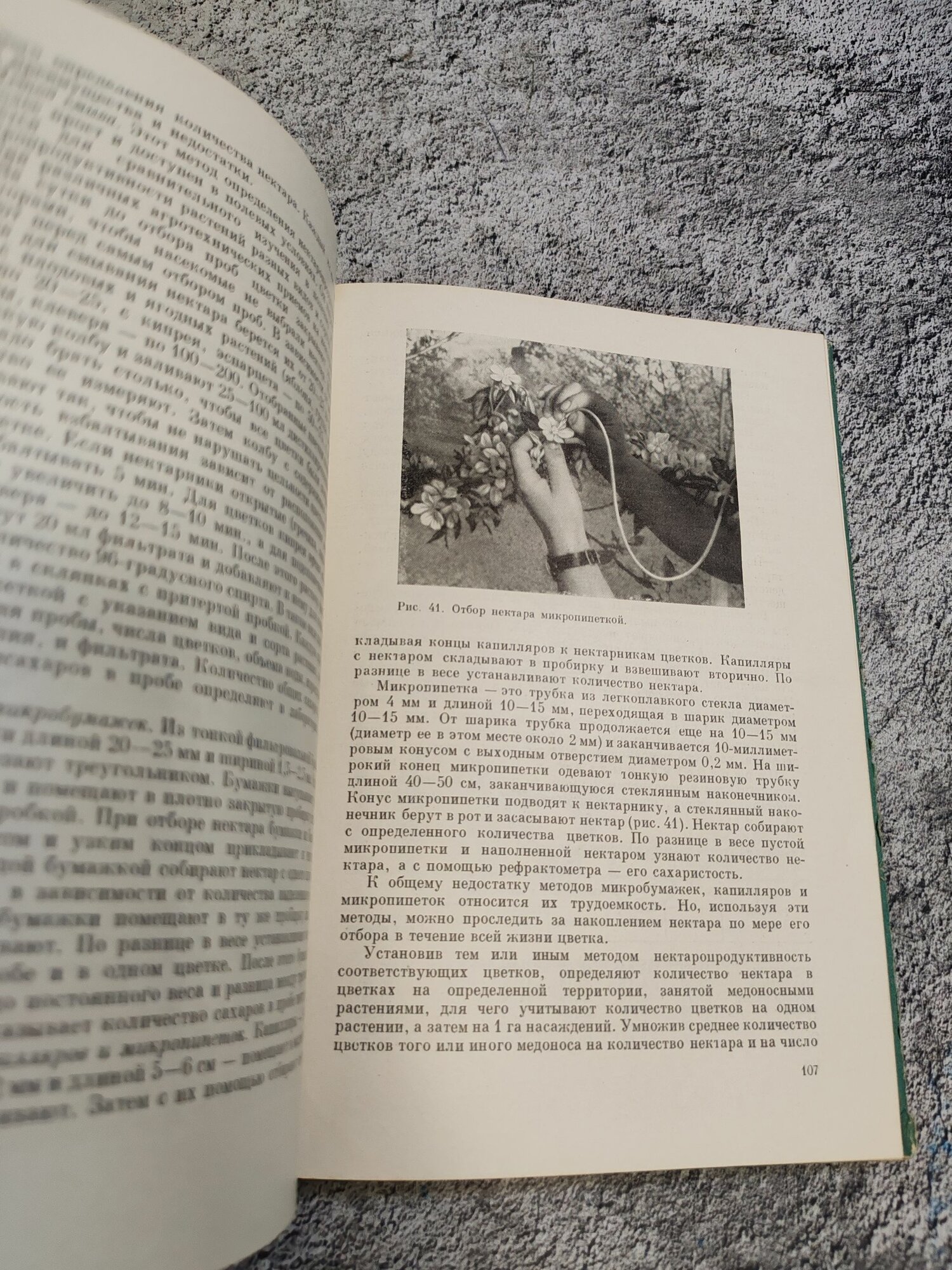 Пчеловодство (1965 г.) — фото 1