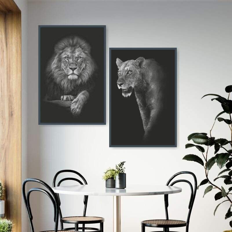 Набор постеров для интерьера Животные: Лев и Львица 40х50 см в тубусе ПолиЦентр, 2 шт