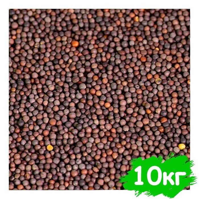 Горчичное семя коричневое, зерна горчицы, Вегетарианский продукт, Vegan 10 000 гр, 10 кг