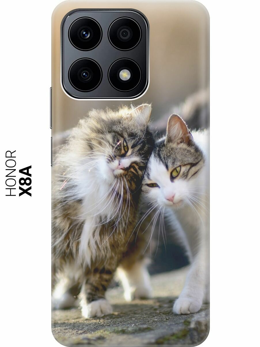 Силиконовый чехол на Honor X8a, Хонор Х8А с принтом "Ласкающиеся кошечки"