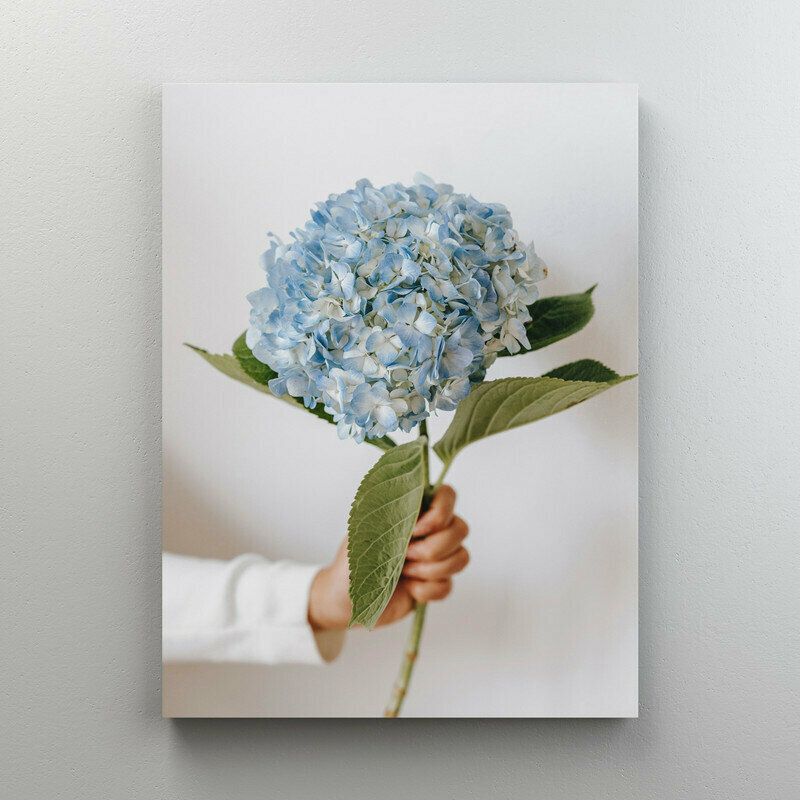 Интерьерная картина на холсте "Гортензия голубая в руках - цветы" размер 22x30 см