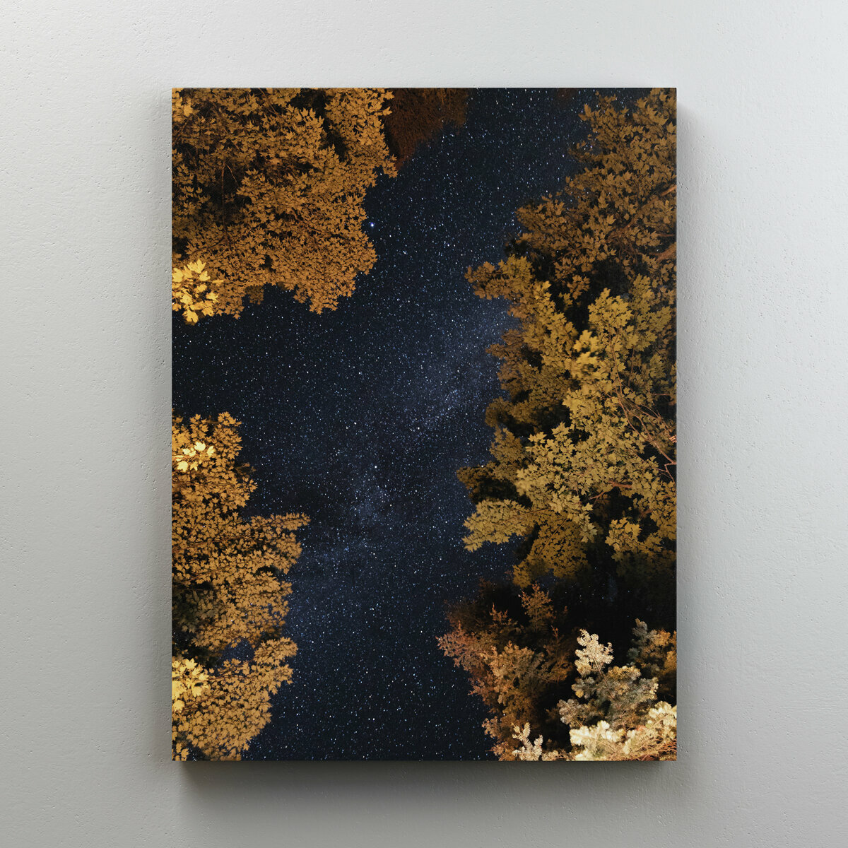 Интерьерная картина на холсте "Млечный путь в деревьях" пейзаж, размер 22x30 см