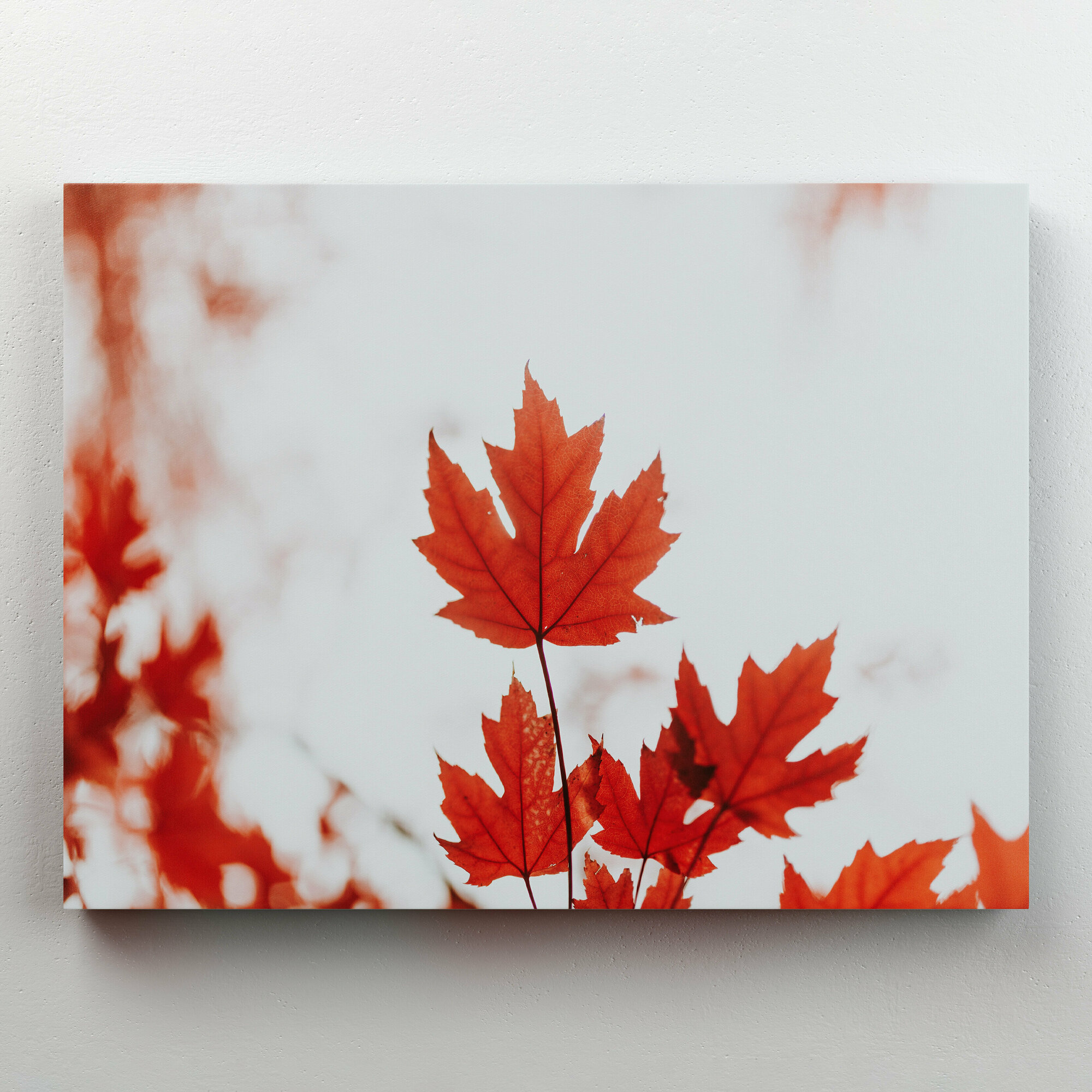 Интерьерная картина на холсте "Красная листва клена" деревья и растения, размер 30x22 см