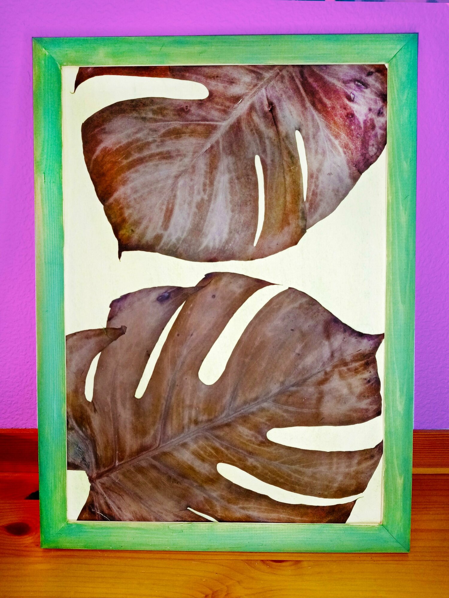 Креативный гербарий в рамке "Монстера" из сухоцветов