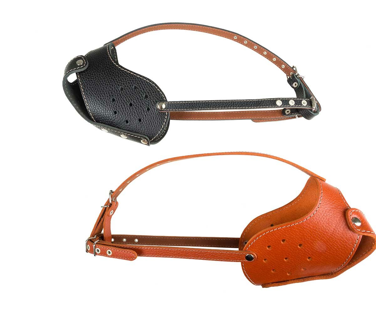 Намордник для питбуля brava арт312