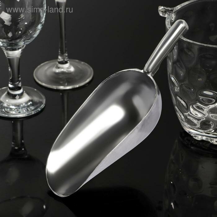 Совок, h=21 см, алюминий