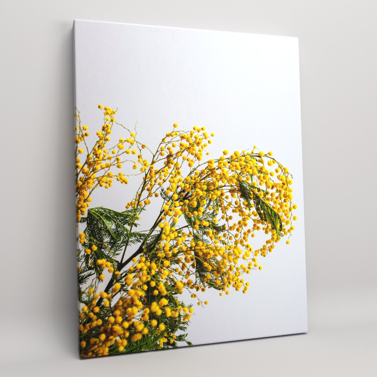 Картина на холсте (интерьерный постер) "Мимоза" растения, с деревянным подрамником, размер 45x60 см