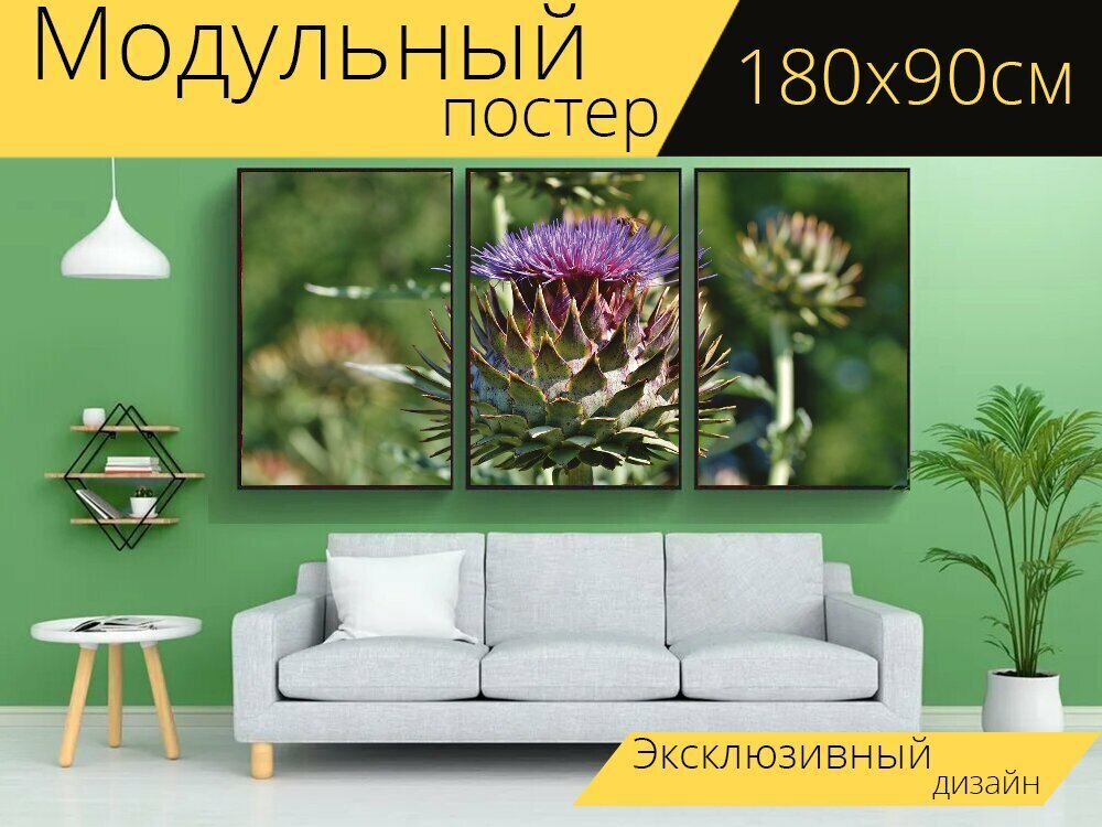 Модульный постер "Артишок, цветок, лепестки" 180 x 90 см. для интерьера