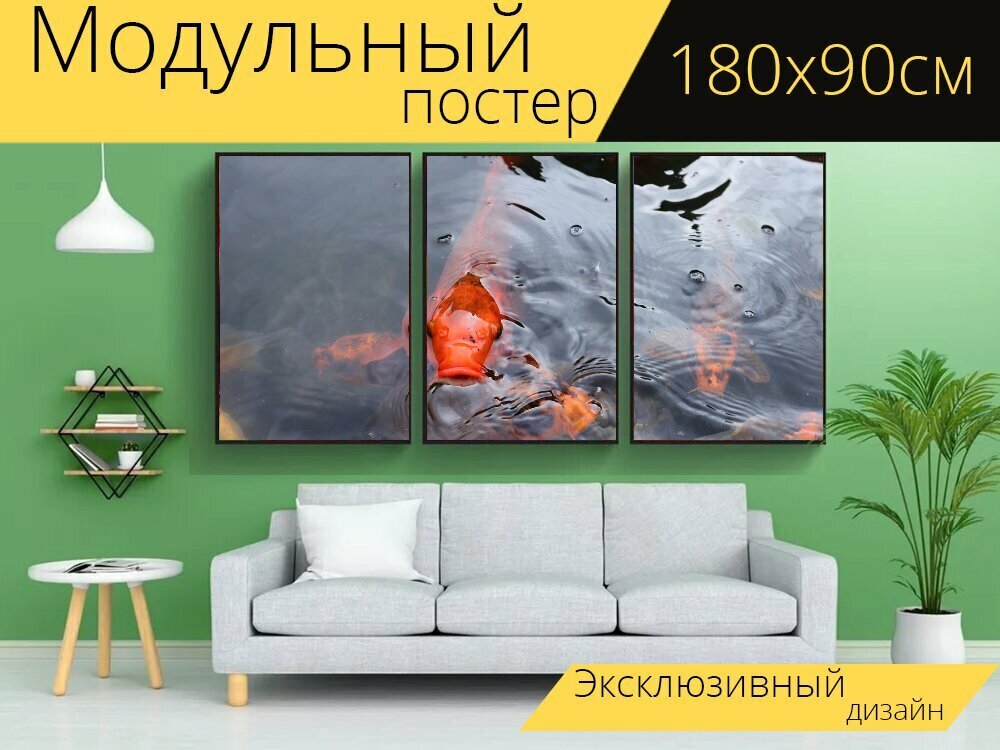 Модульный постер "Кои, пруд с карпами, рыбы" 180 x 90 см. для интерьера