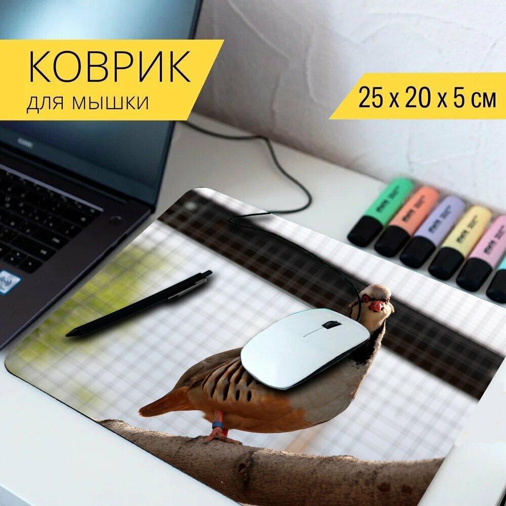 Коврик для мыши с принтом "Кеклик, птица, куропатка" 25x20см.