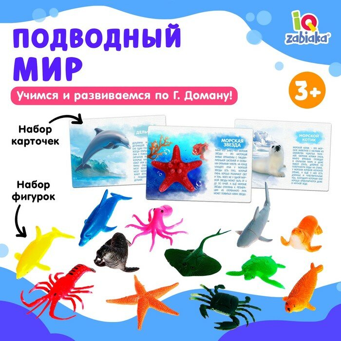 Обучающий набор «Подводный мир», по методике Домана, 12 фигурок, 12 карточек, 3+