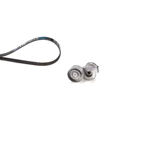 GATES K017PK1125 (529008810 / 5552780 / 7701477515) рем. к-кт но\Renault (Рено) Megane (Меган) / Scenic (Сценик) 2.0i / 1.9dci