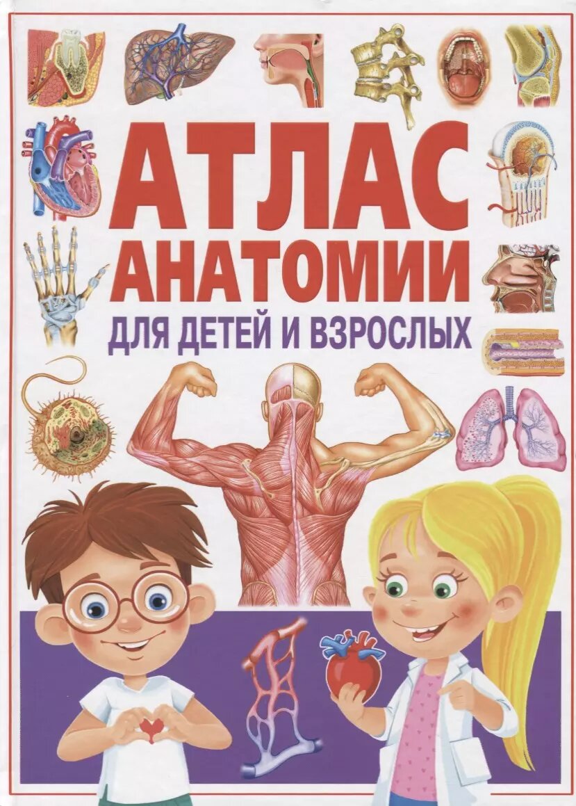 Атлас анатомии для детей и взрослых ()